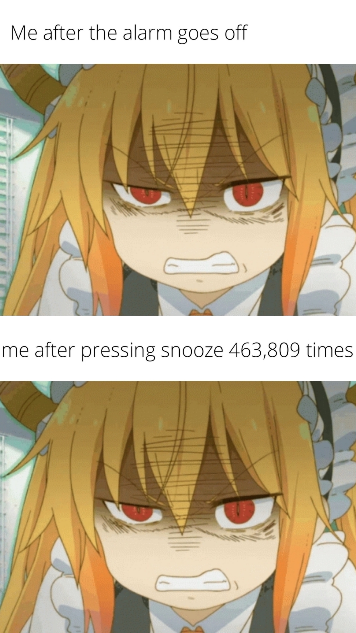 Humanity is evolving backwards | Scrolller