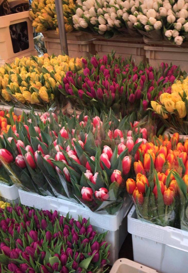 Hundreds of tulips at the flower market today! | Scrolller