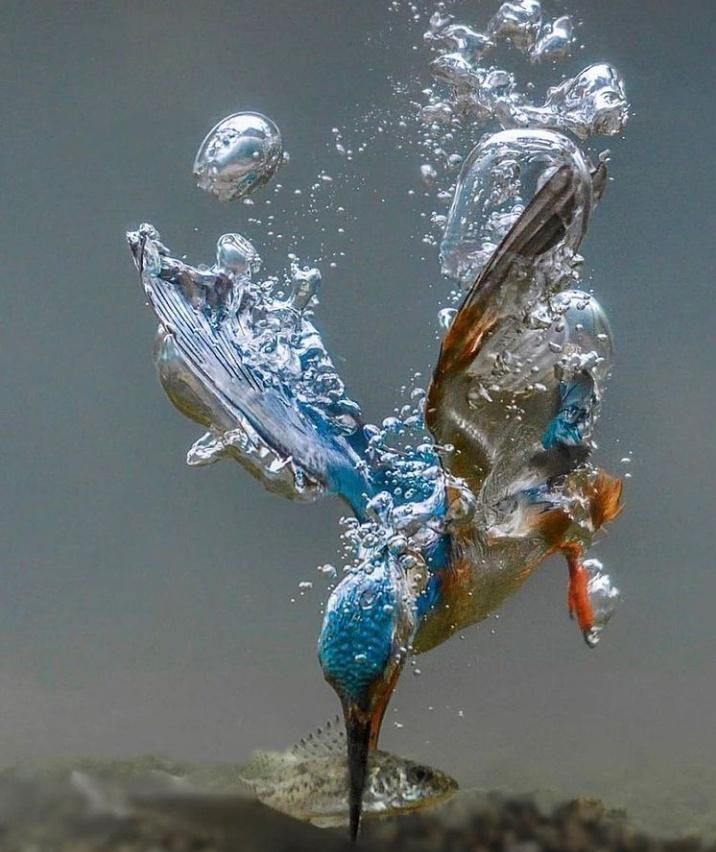 🔥 Hunting time... | Scrolller