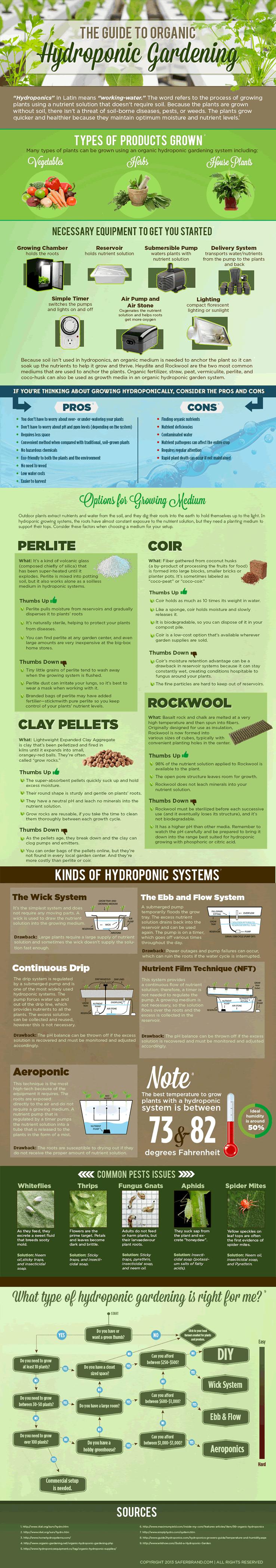 Hydroponic Gardening Guide | Scrolller