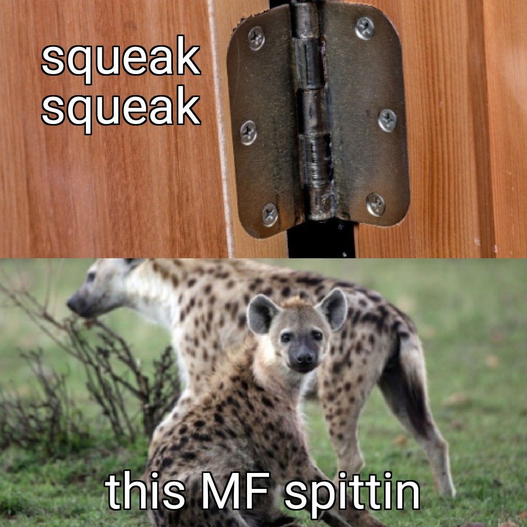 Hyena irl | Scrolller