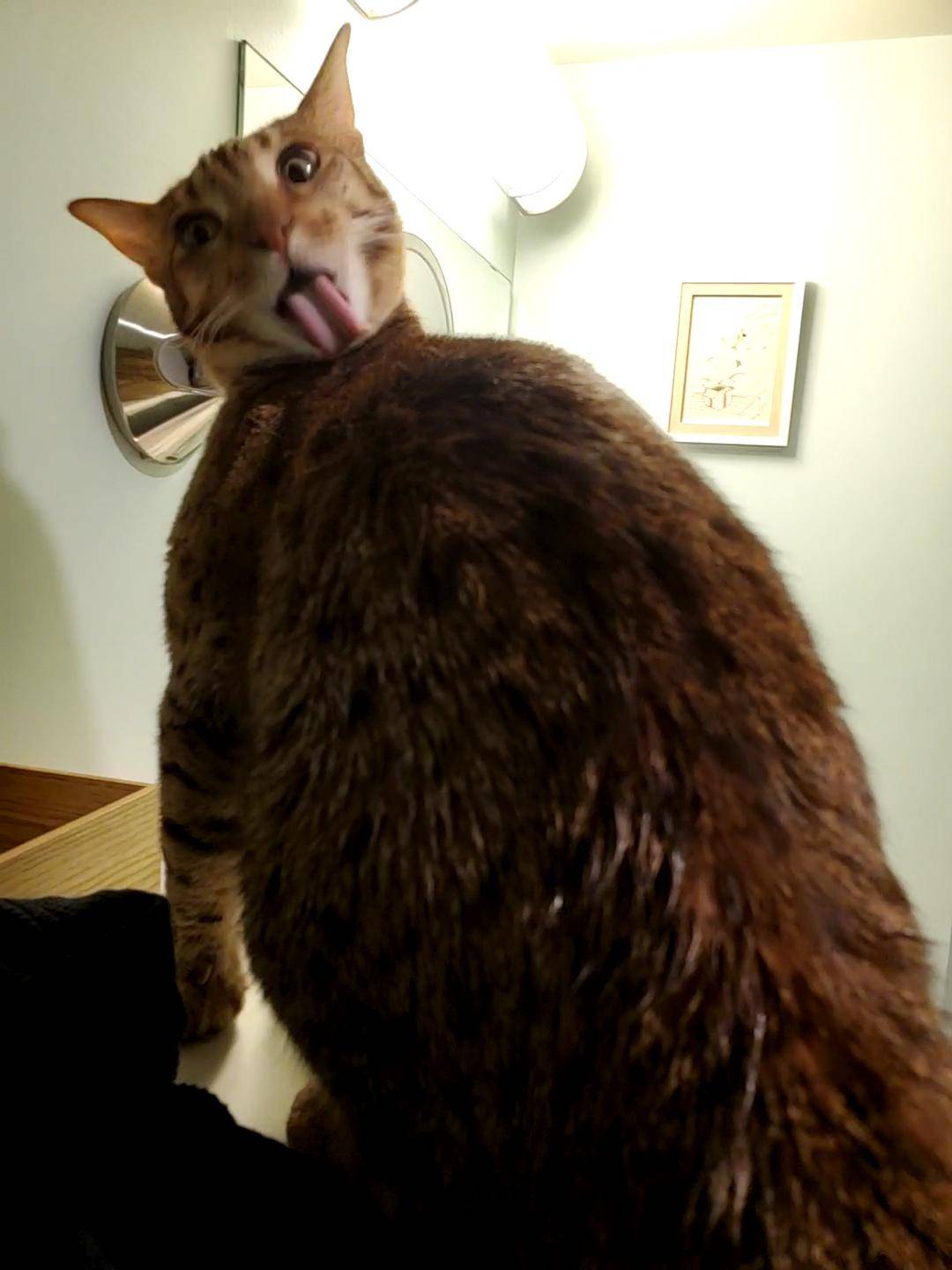 i accidentally started the shower on her :( | Scrolller