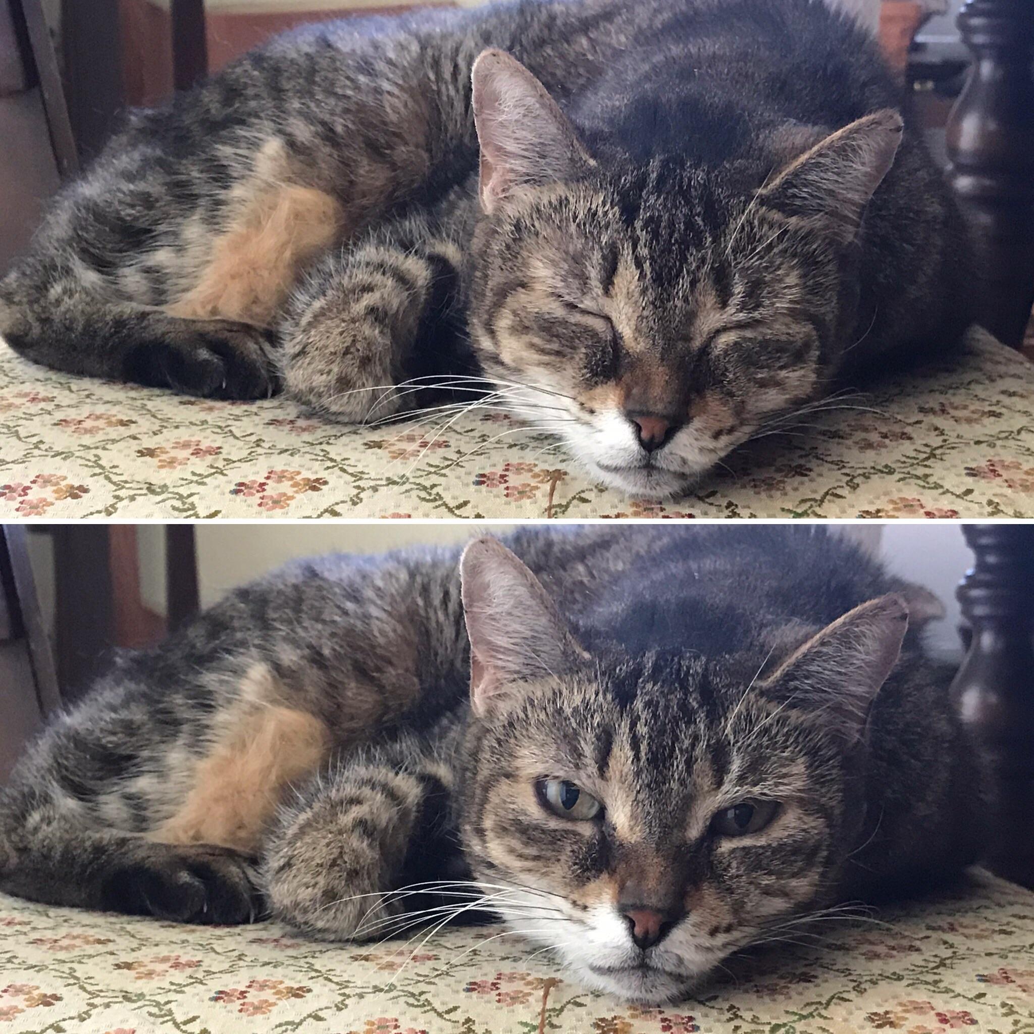 I accidentally woke her up. | Scrolller