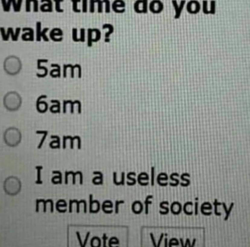 I am a useless member of society | Scrolller I am a useless member of society | Scrolller