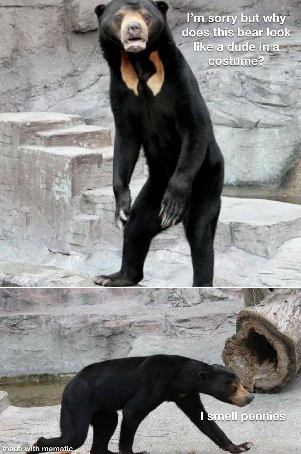 I am forever scared, so you must be too | Scrolller