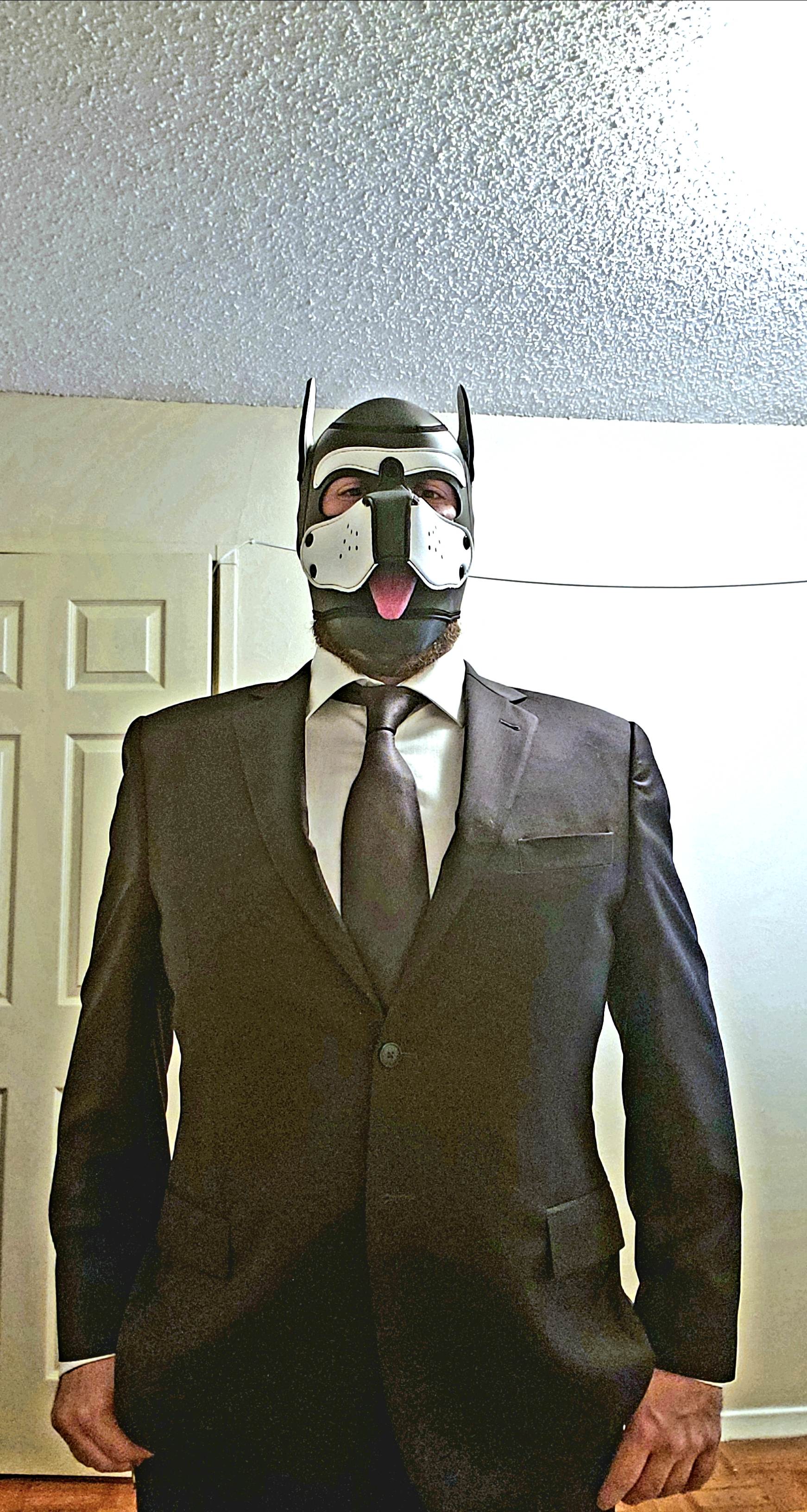 I am good boy. I keep master safe. | Scrolller