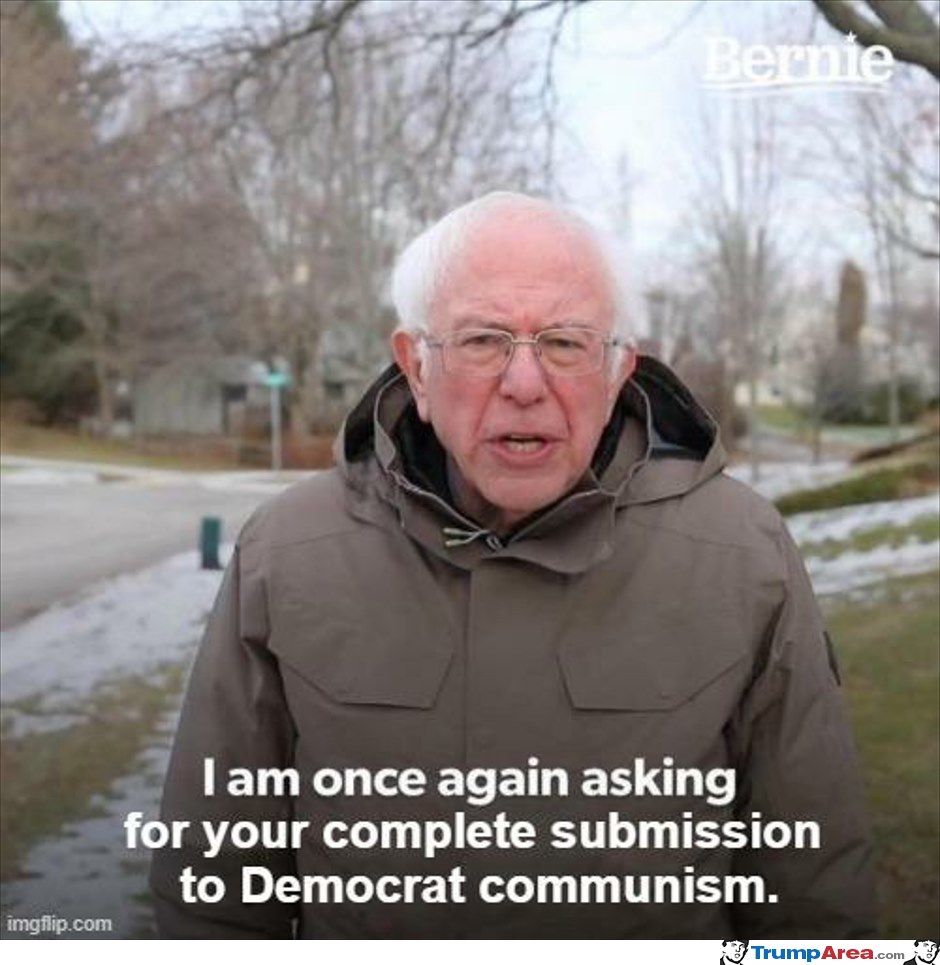 I am once again asking... | Scrolller