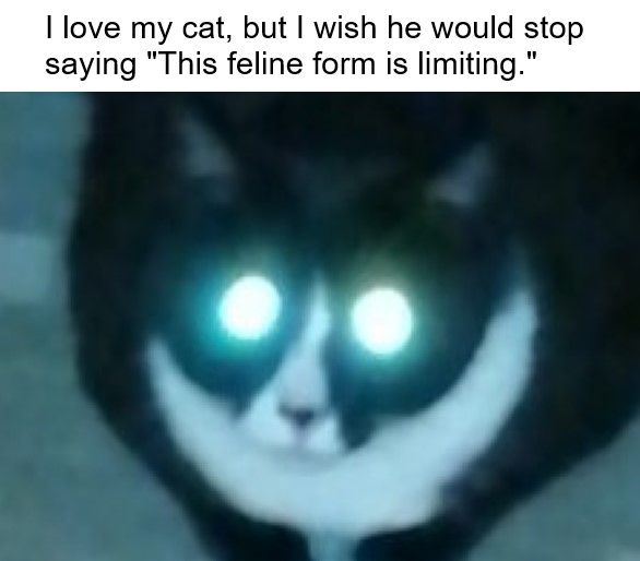 I am scared | Scrolller