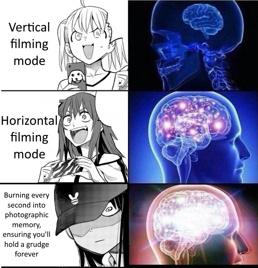 I broke into a museum to steal this old meme format | Scrolller