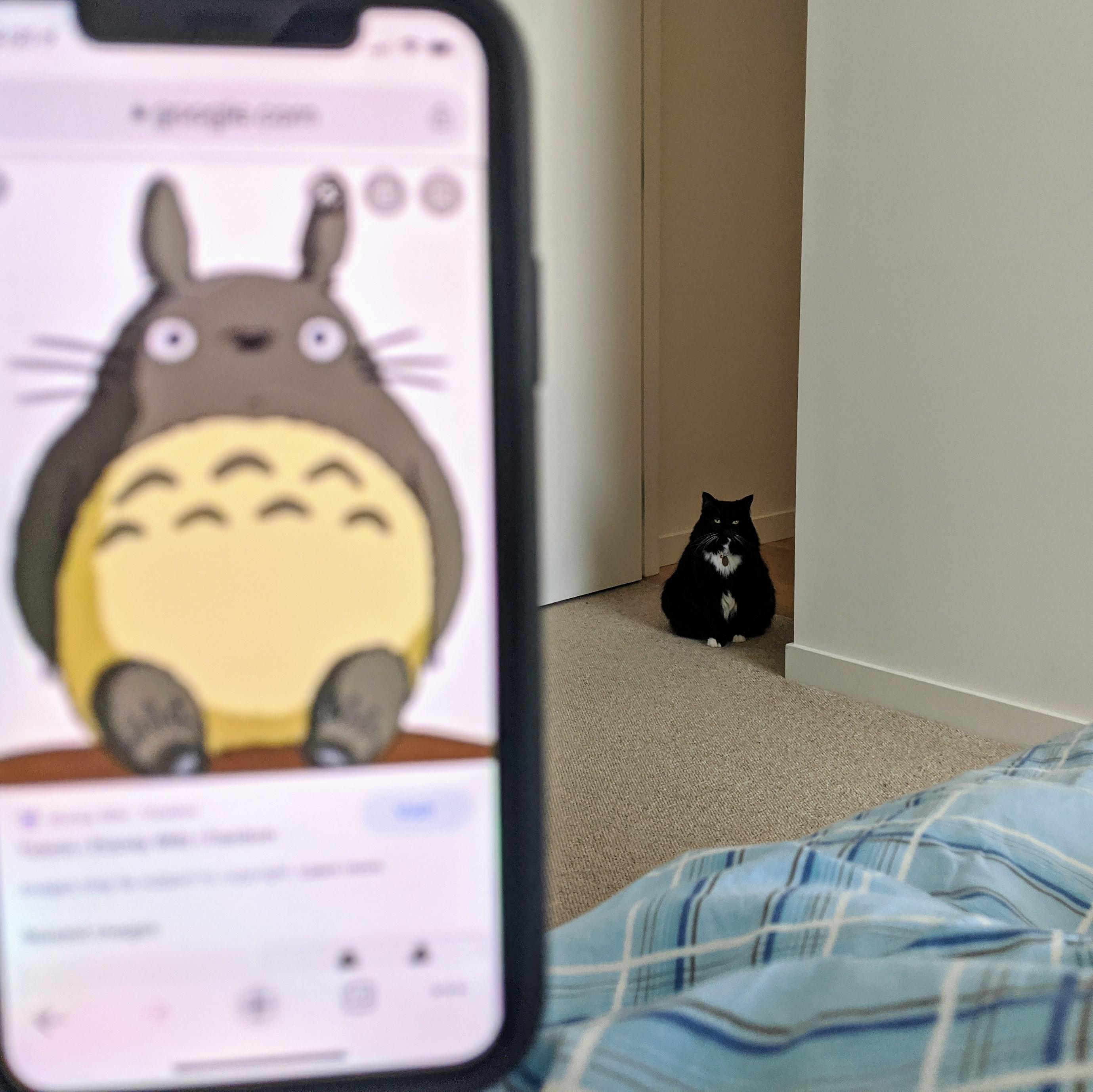 I can't unsee this | Scrolller