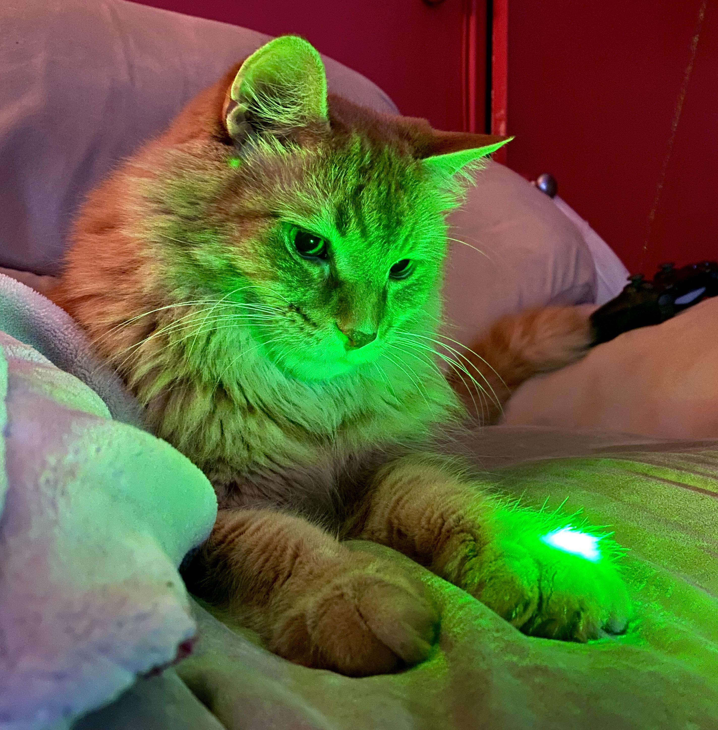 I caught it. Now what? | Scrolller