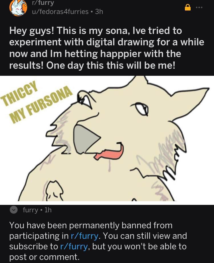 I didn’t do anything wrong! | Scrolller