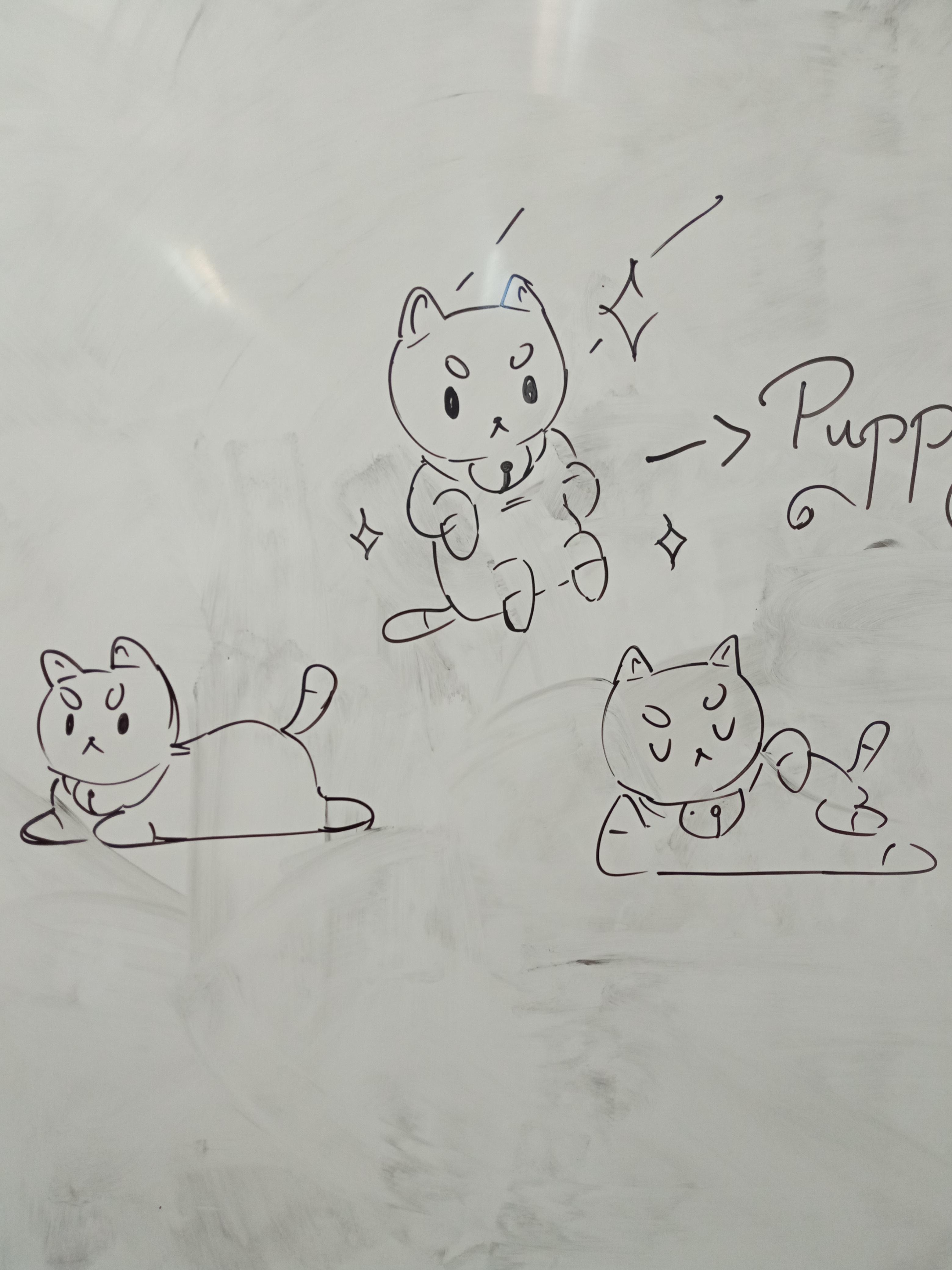 I drew Puppycat on the whiteboard in school :)) | Scrolller
