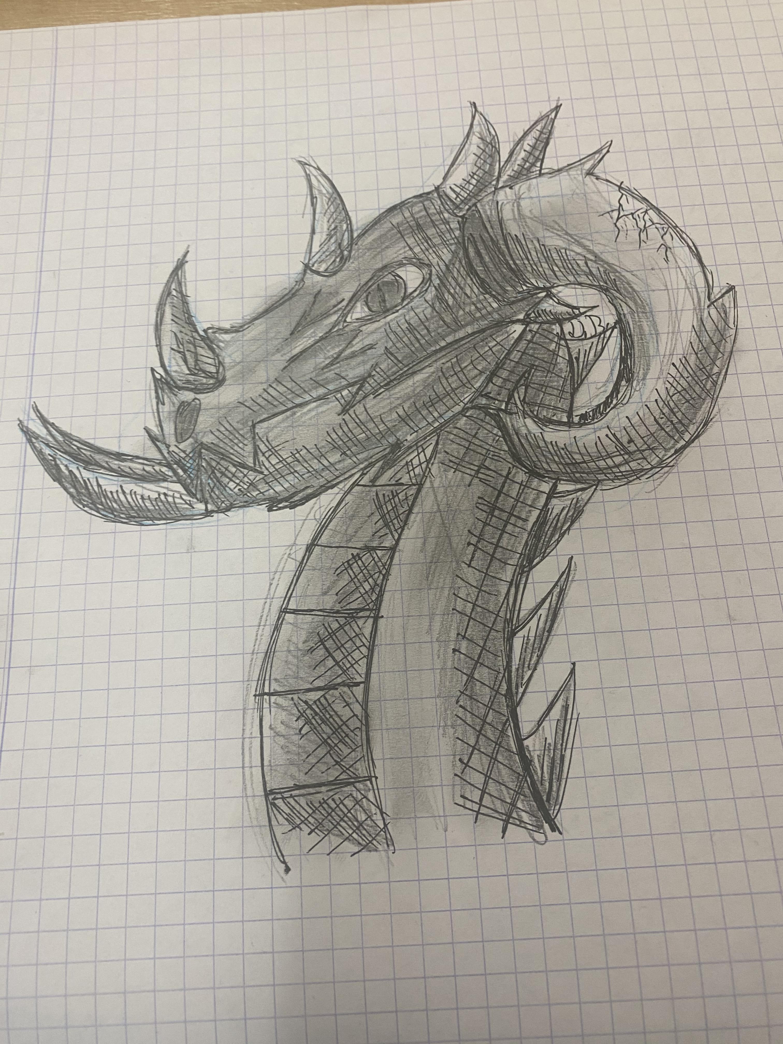 I Drew This Dragon In Class Scrolller 7240