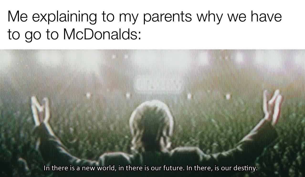 I executed the plan! | Scrolller