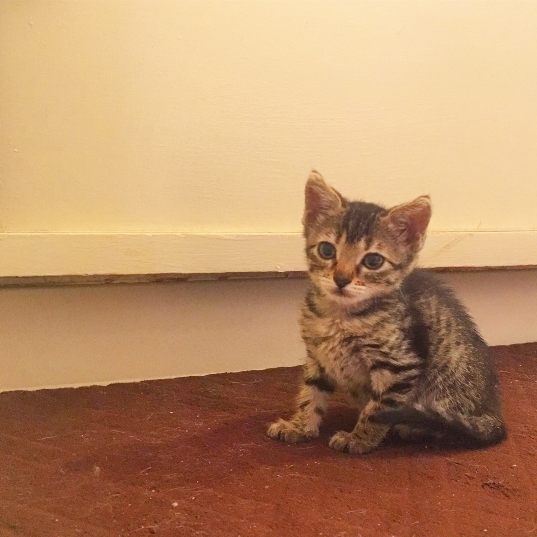 I fall in love | Scrolller