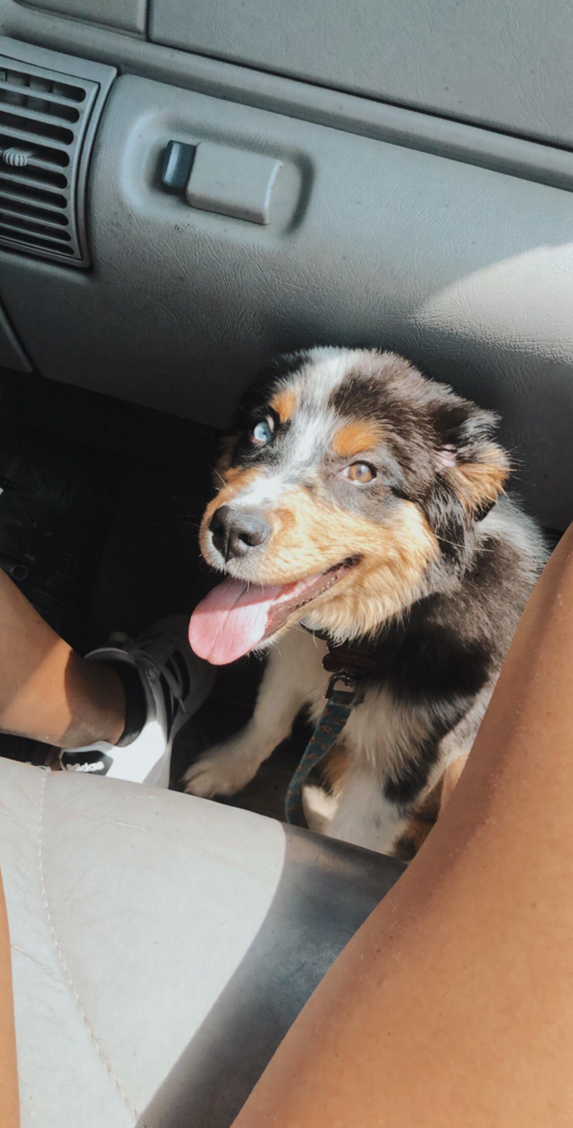 I feel so lucky. | Scrolller