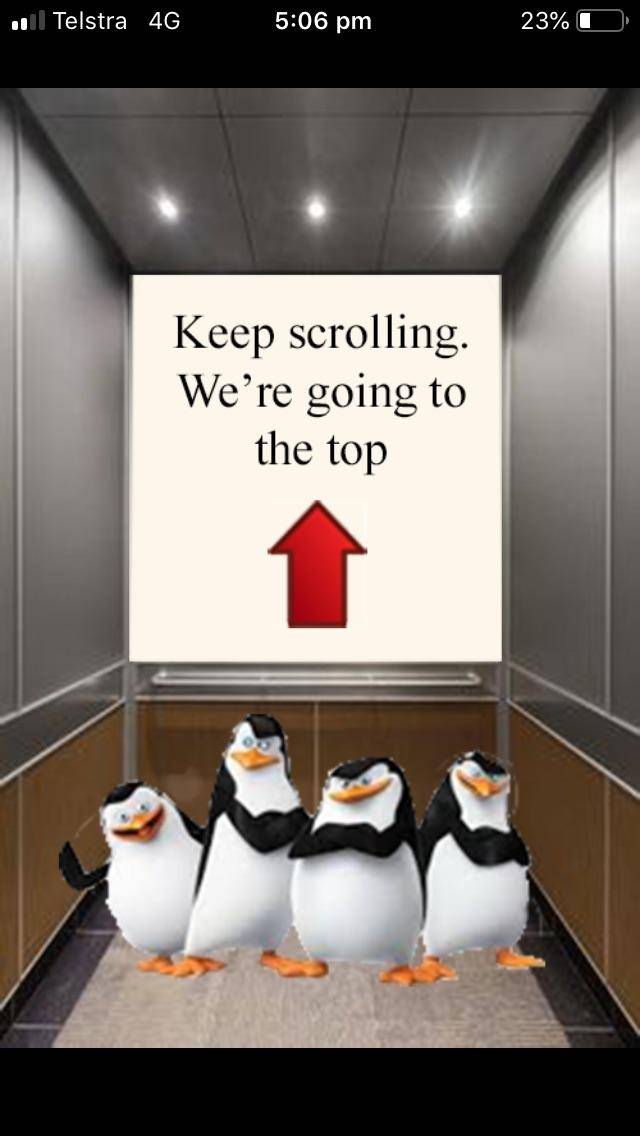 i fucking died | Scrolller