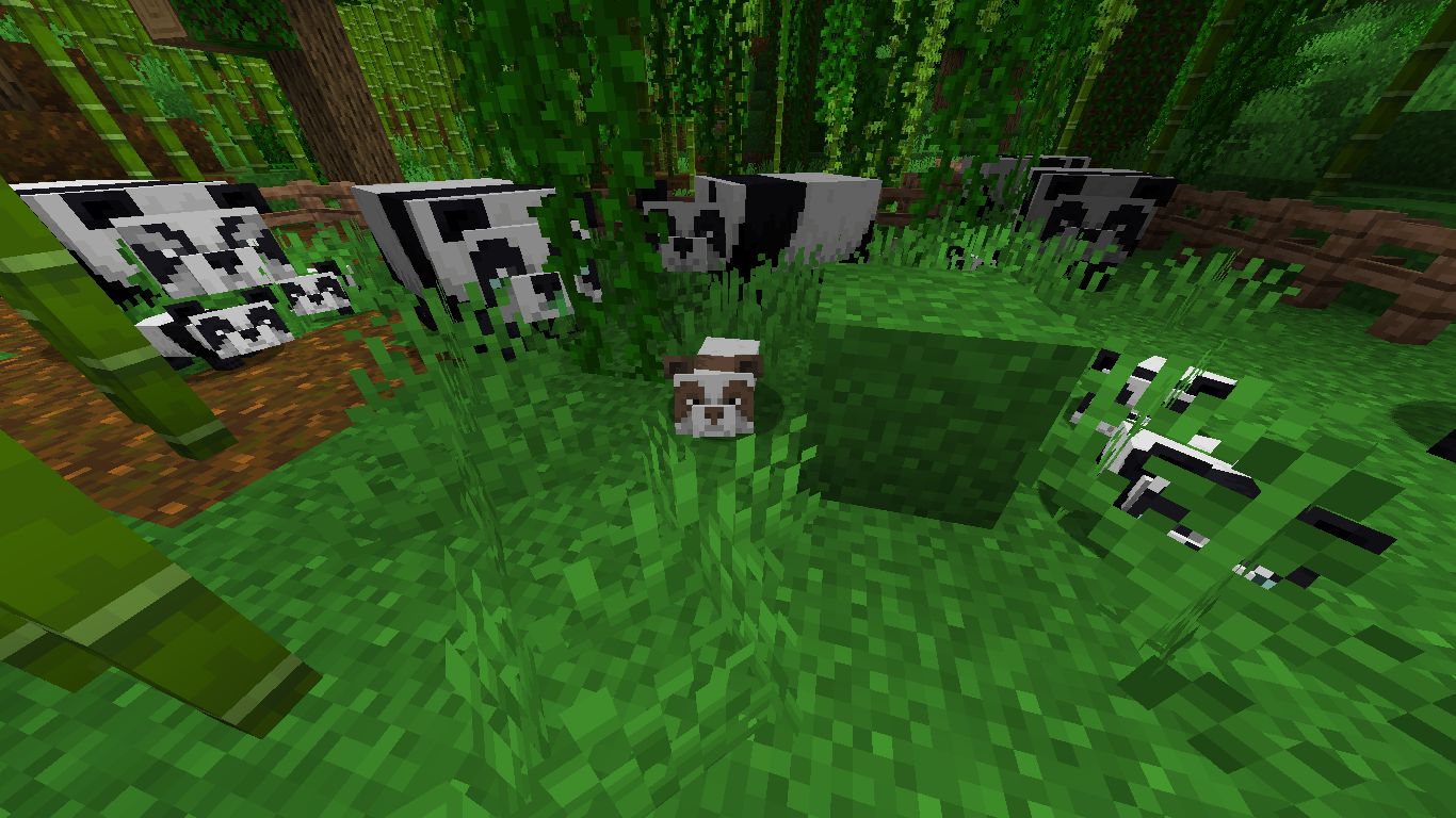 I got a brown panda through breeding | Scrolller