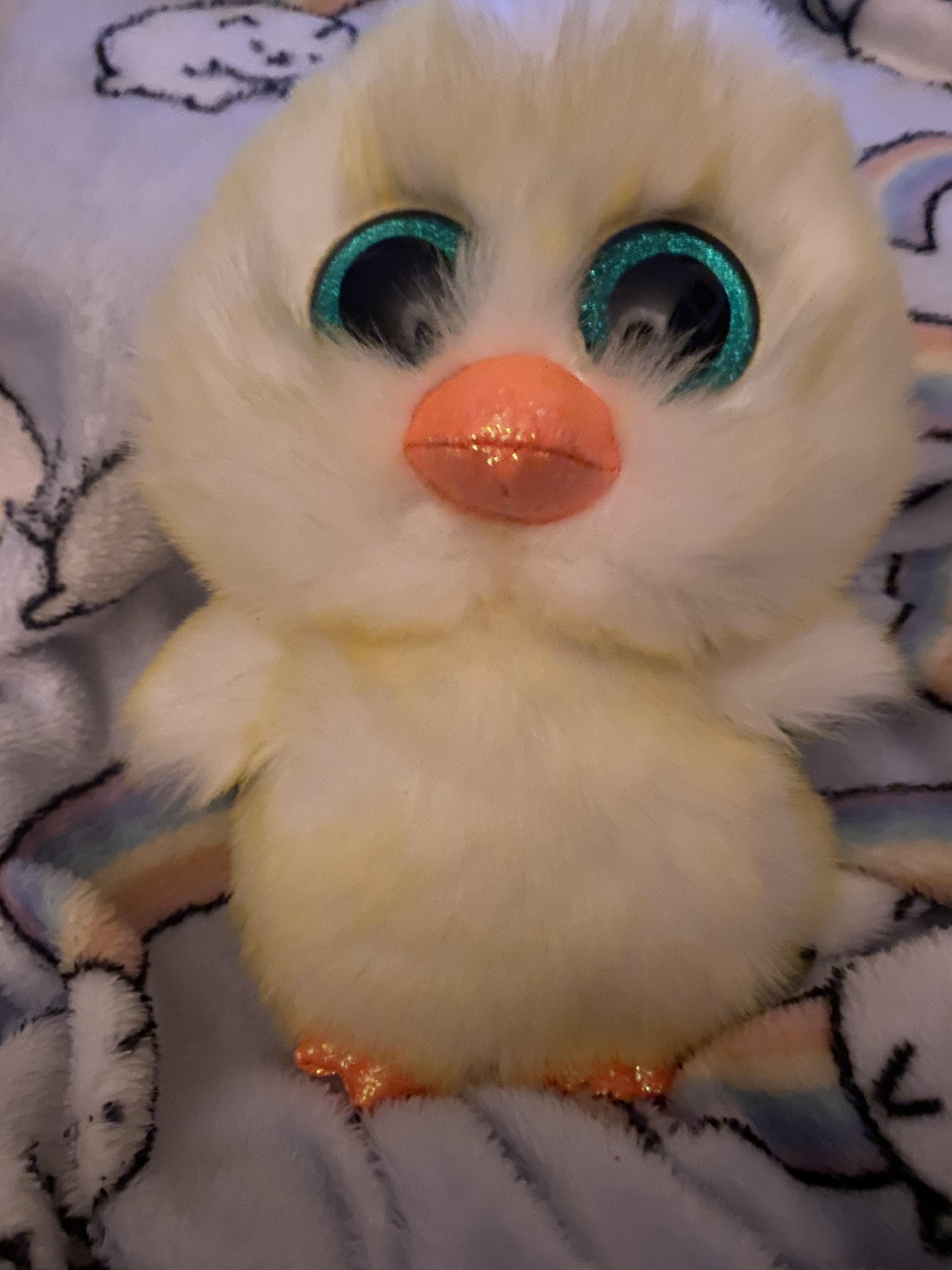 I got a new stuffie! | Scrolller