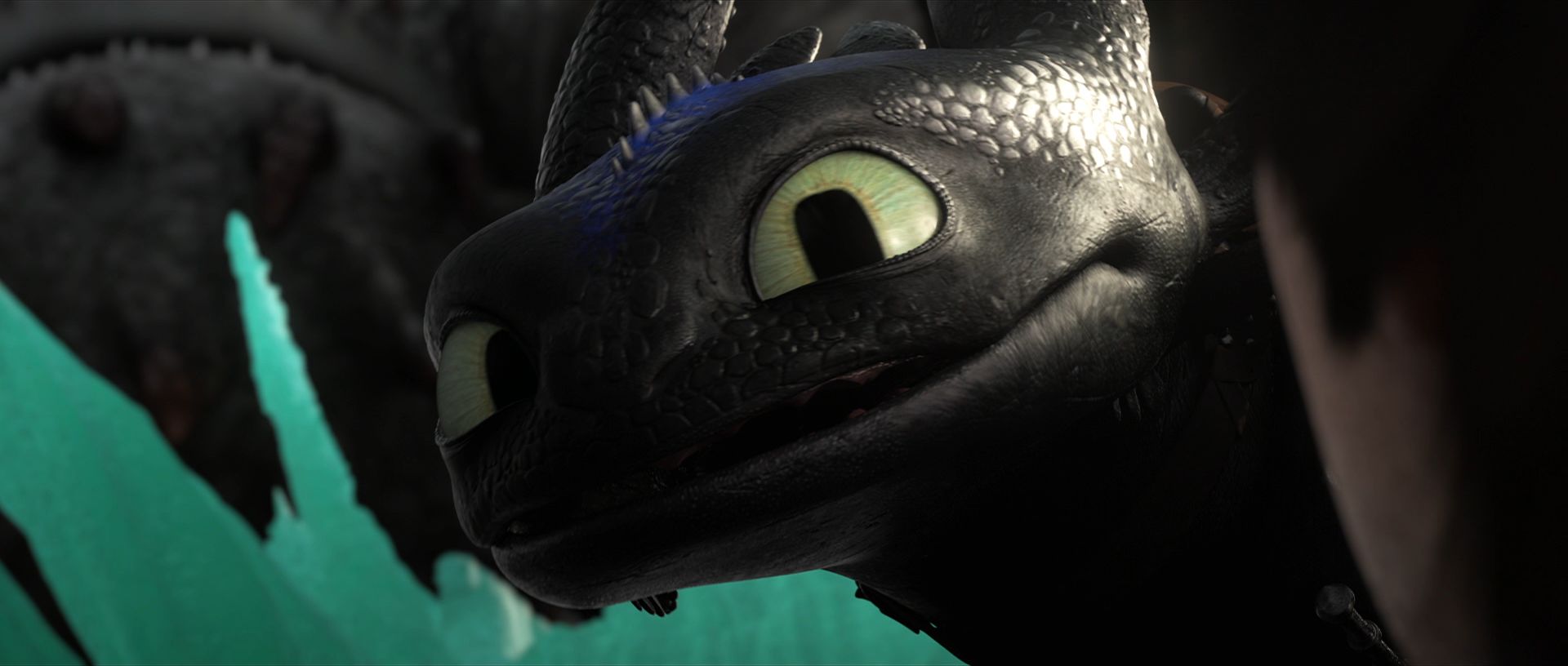 I got this! - Toothless Shot of the Day (Y2D315) | Scrolller