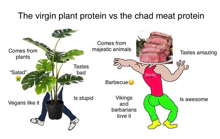 I hate plant protein | Scrolller