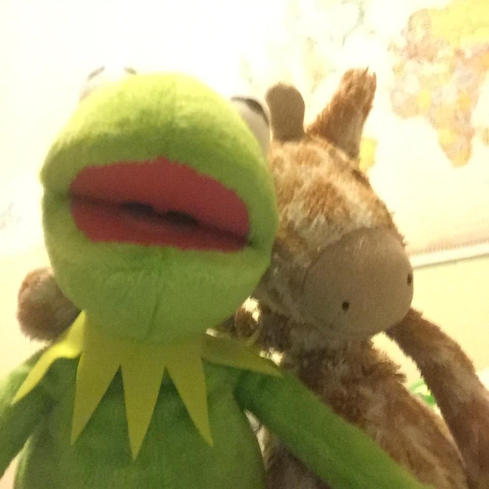 I have a Kermit | Scrolller