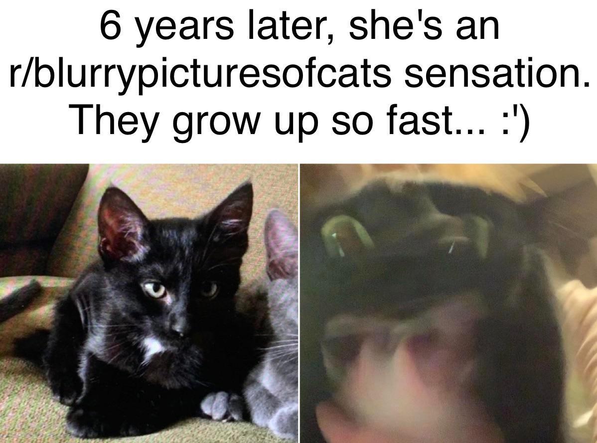 I just find this hilarious | Scrolller