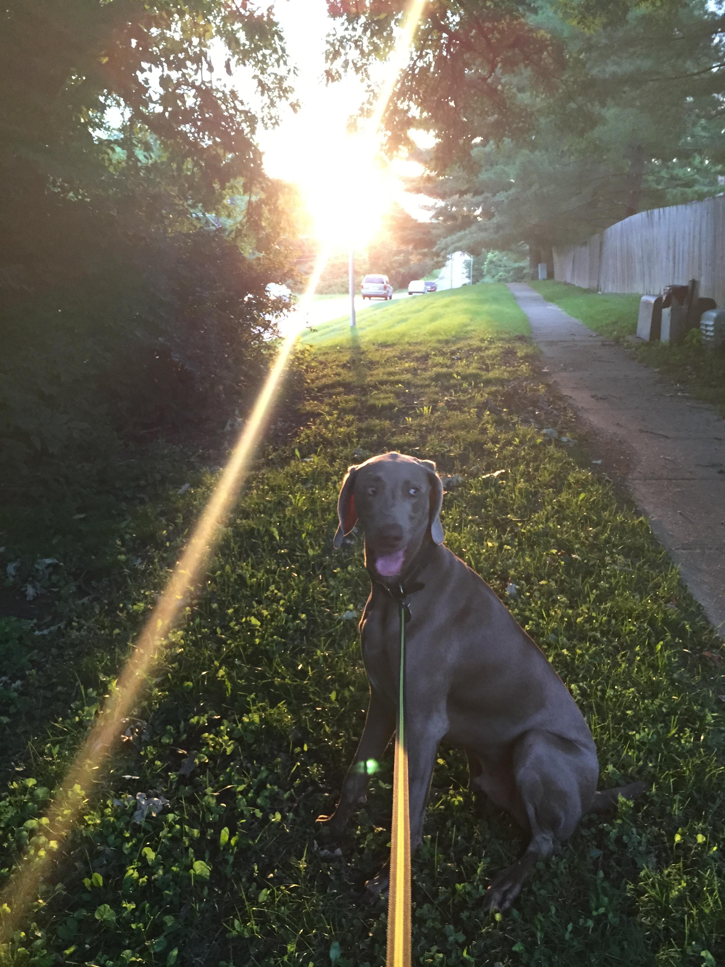 I like to think of Ghost as my running coach; though, "Run faster" is his only advice. | Scrolller