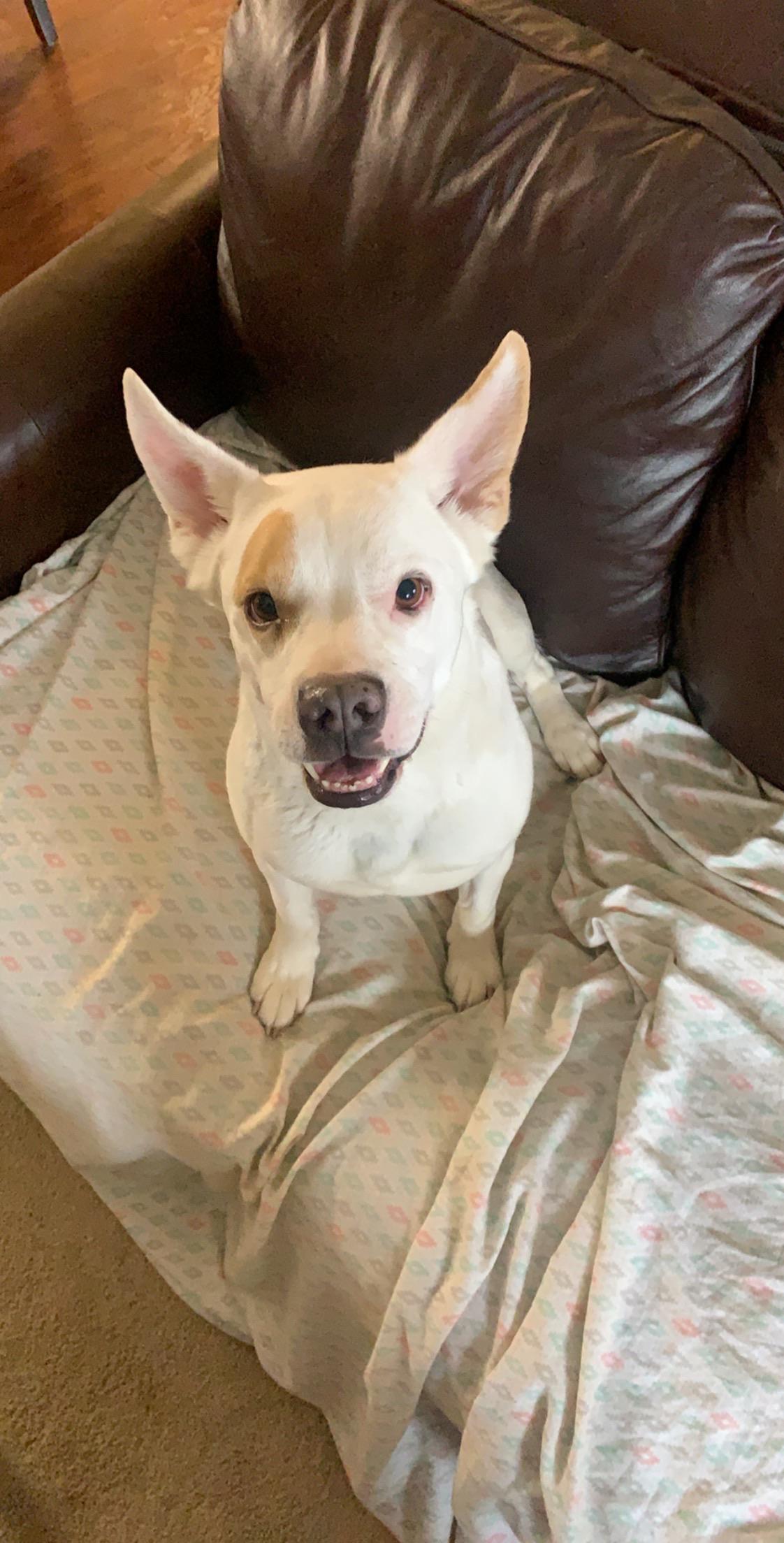 I love a happy, muddy Buddy | Scrolller