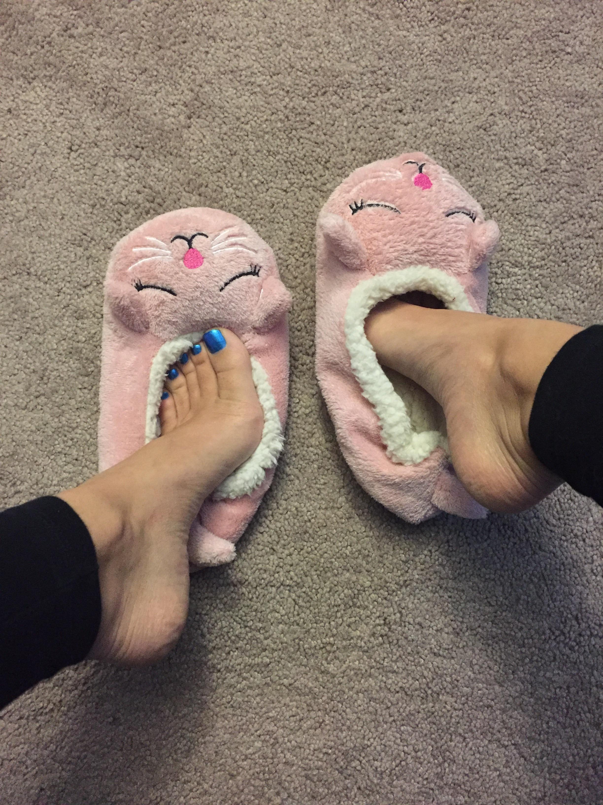 I love kitty cats | Scrolller