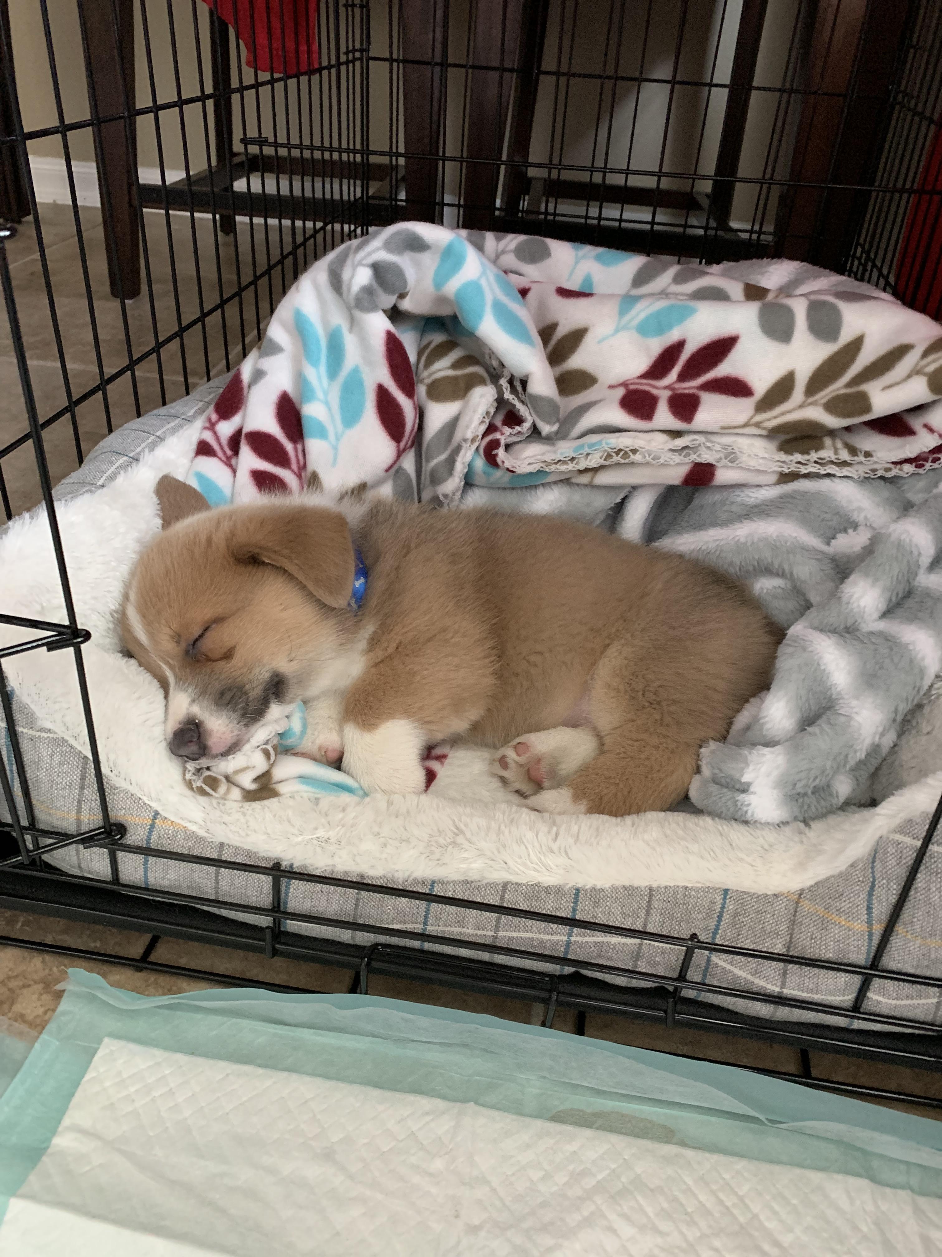 I love my bed, it’s so comfy | Scrolller