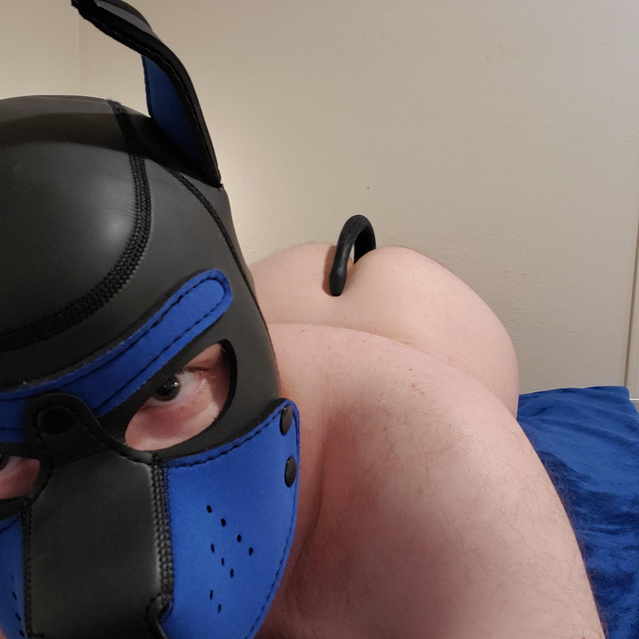 I love my new tail! | Scrolller