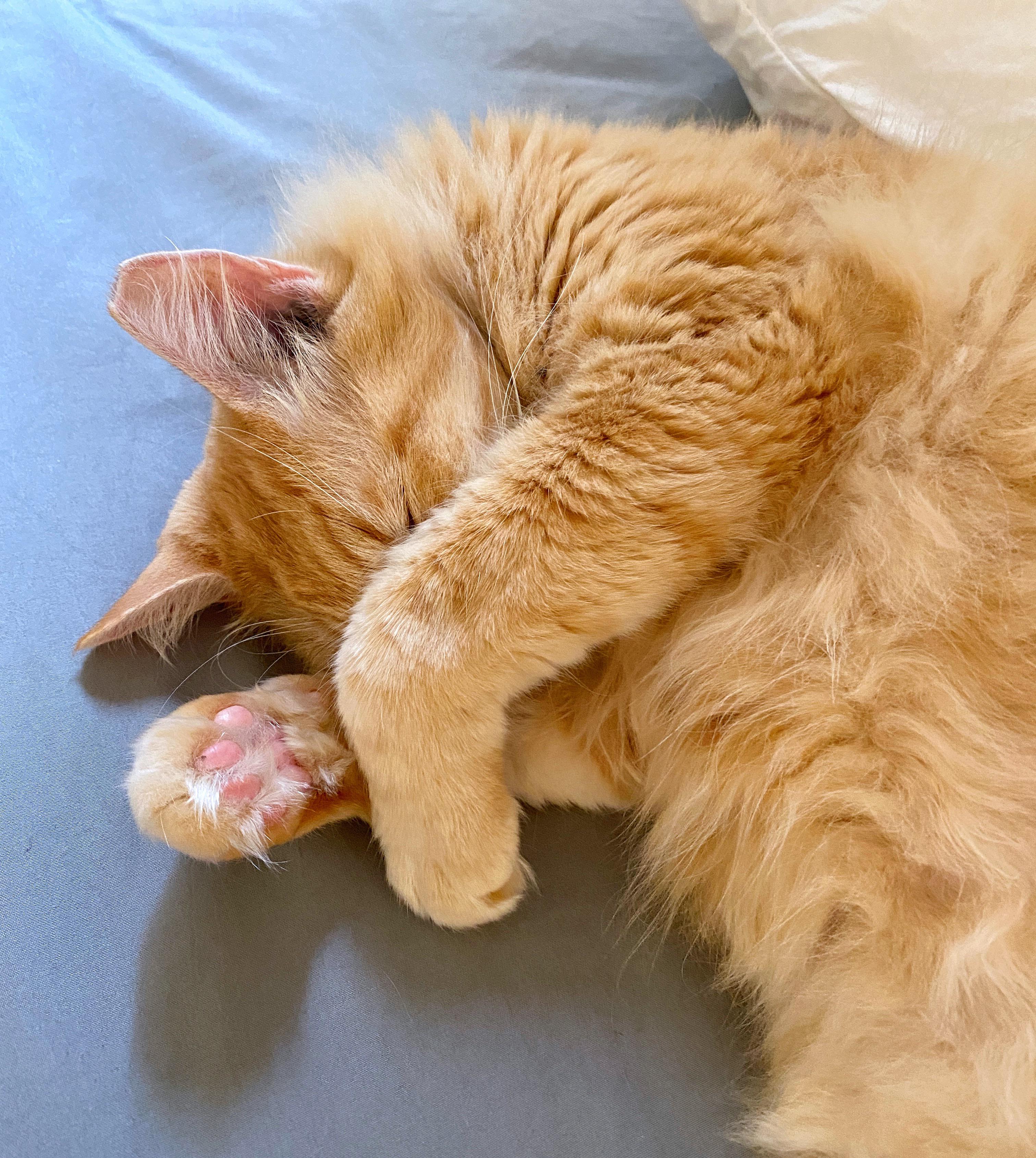 I love my perfect boy and his perfect beans | Scrolller