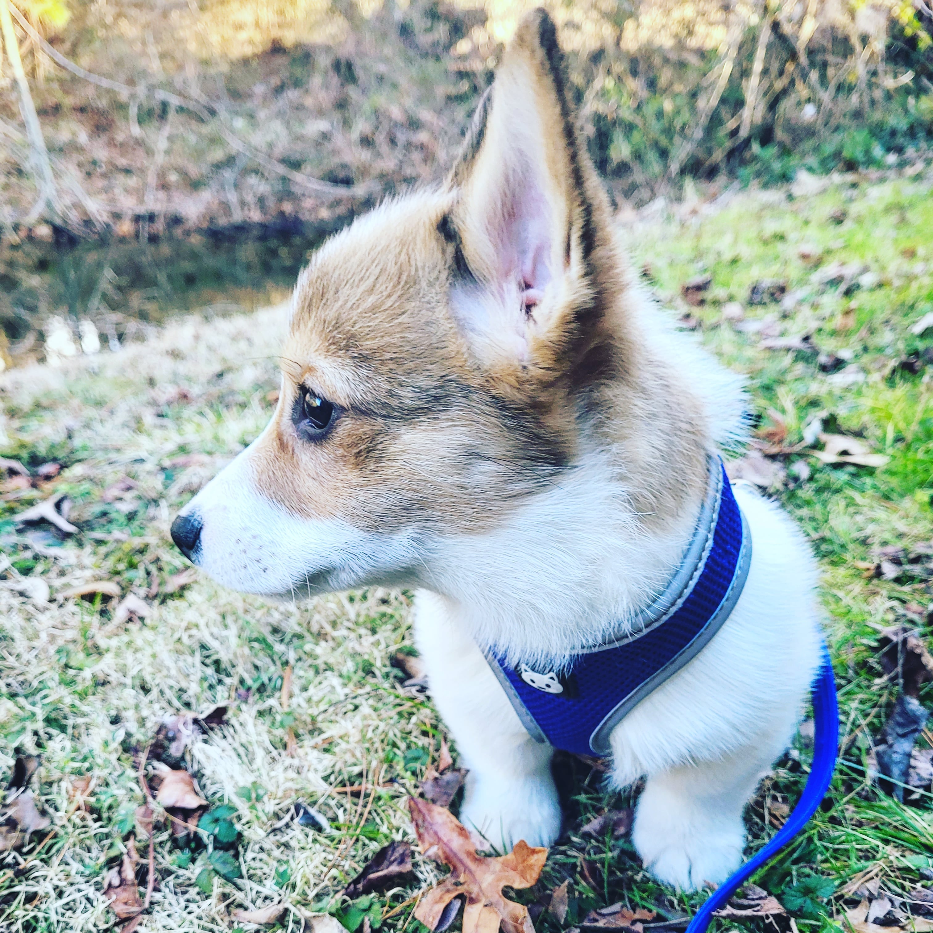 I love the outdoors! | Scrolller