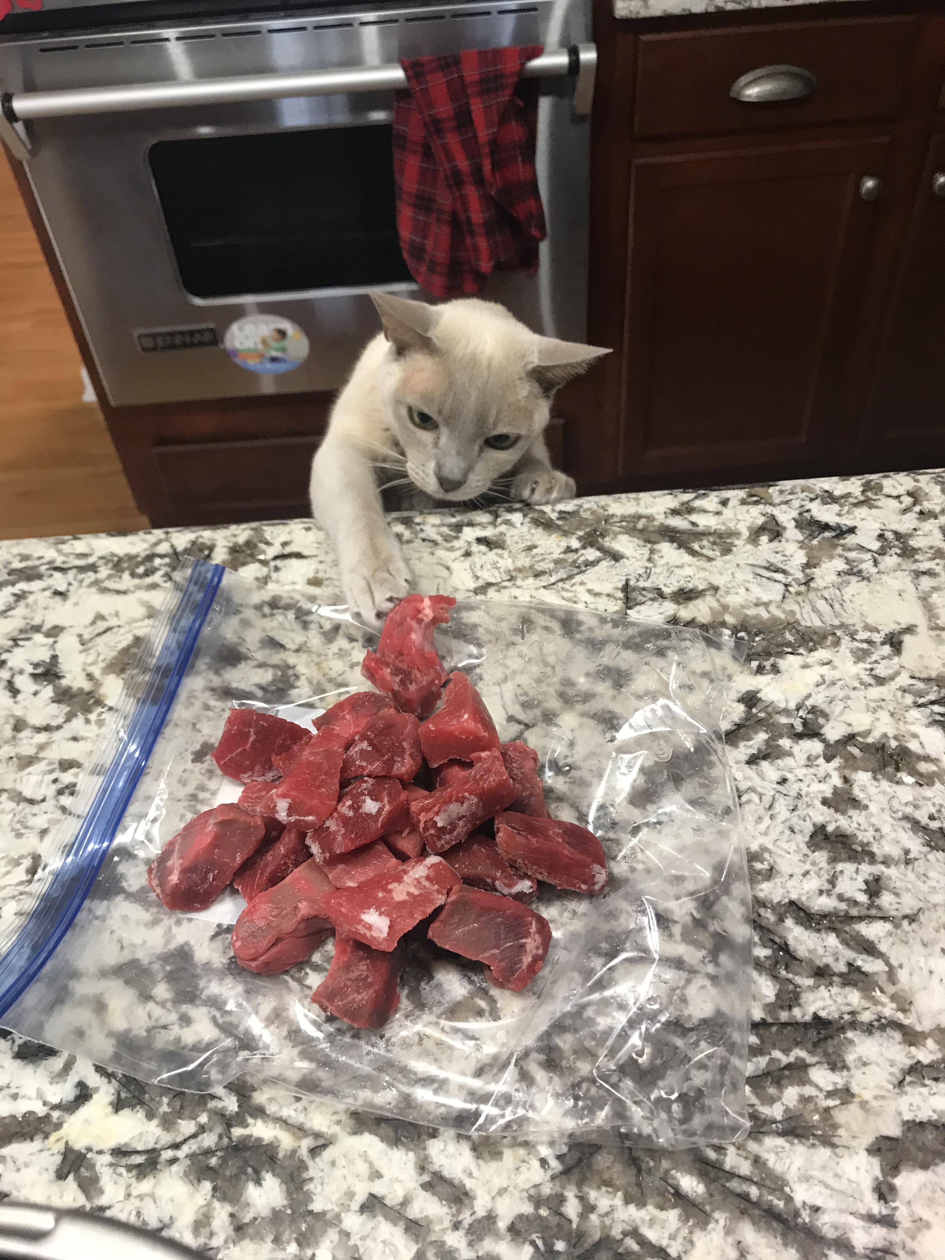 I’m going to slap that ! | Scrolller