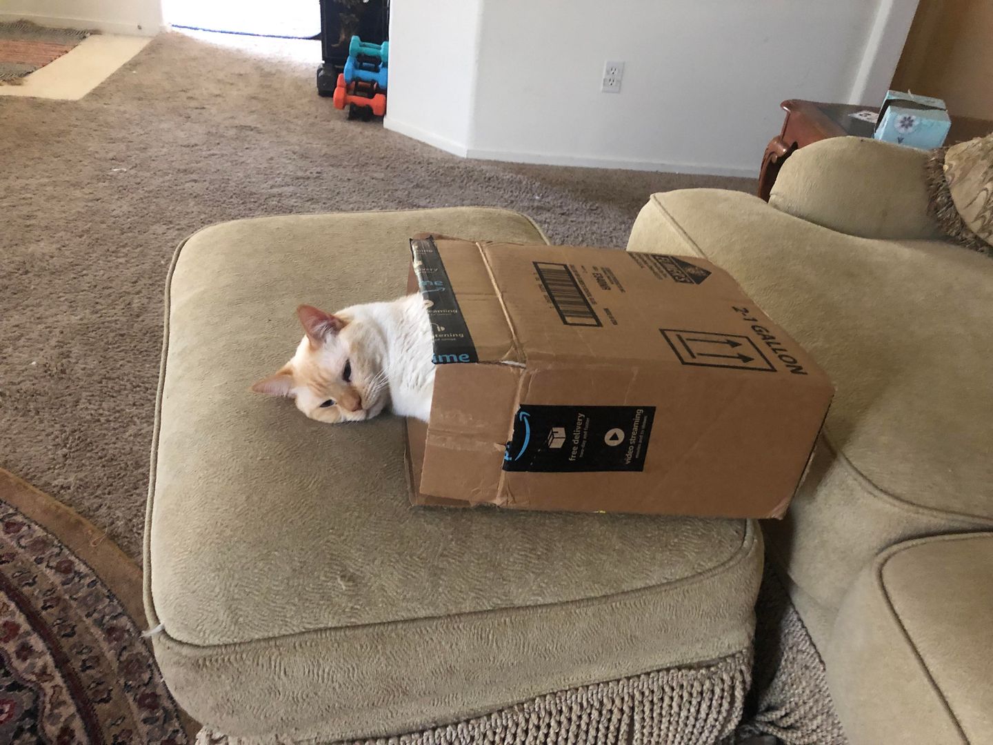 I’m impressed | Scrolller