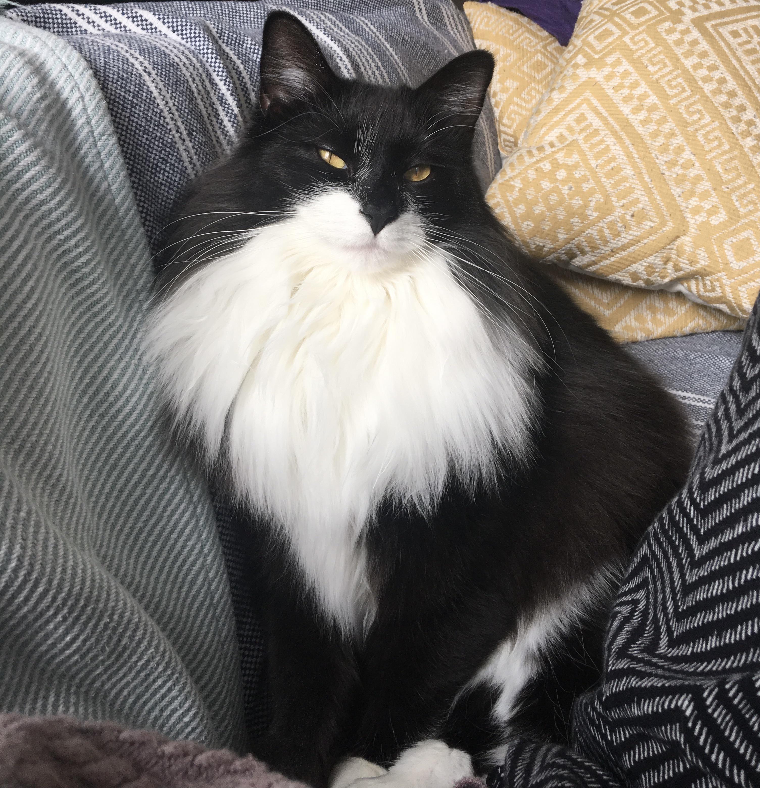 I’m very proud of my handsome son | Scrolller