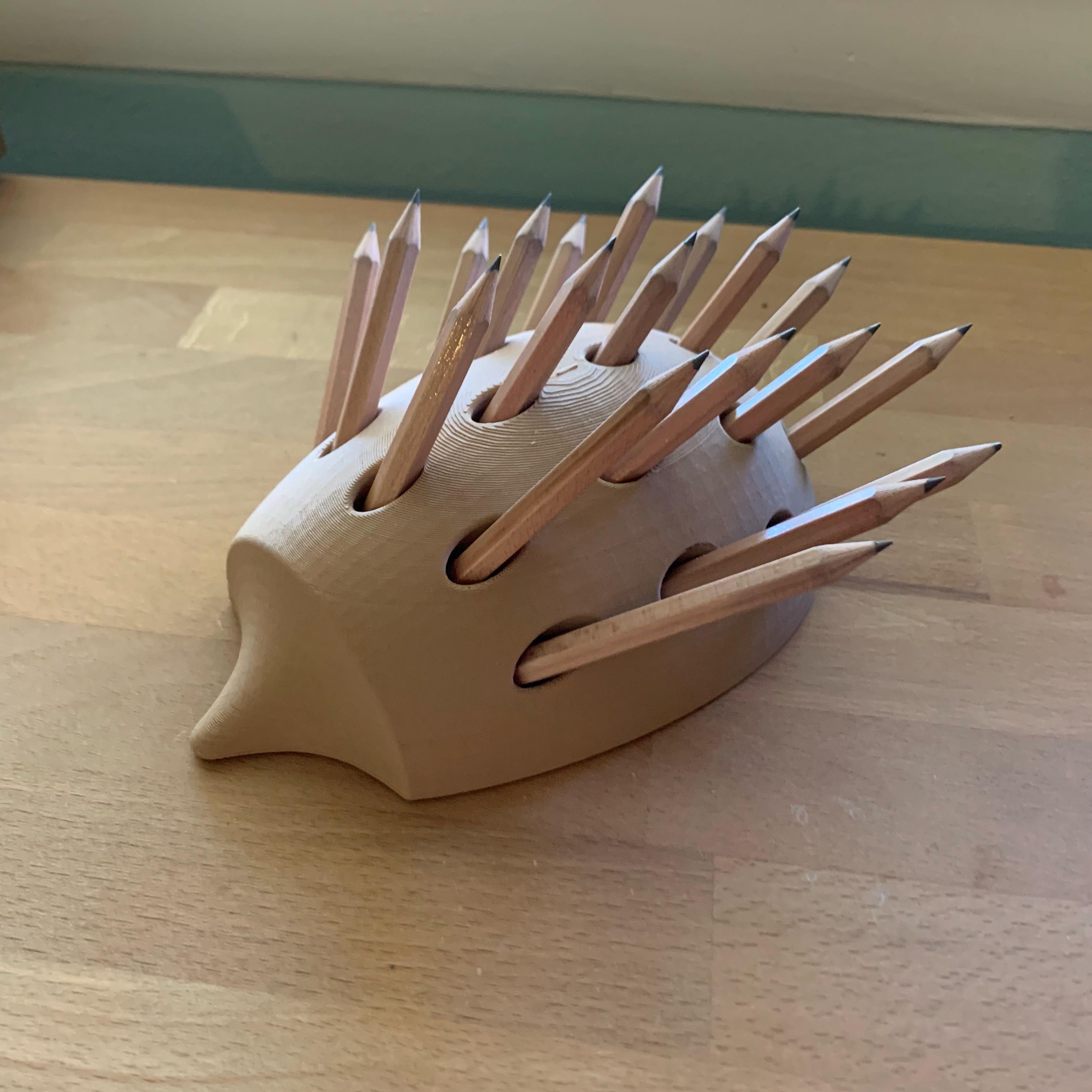I made a hedgehog inspired pencil holder | Scrolller