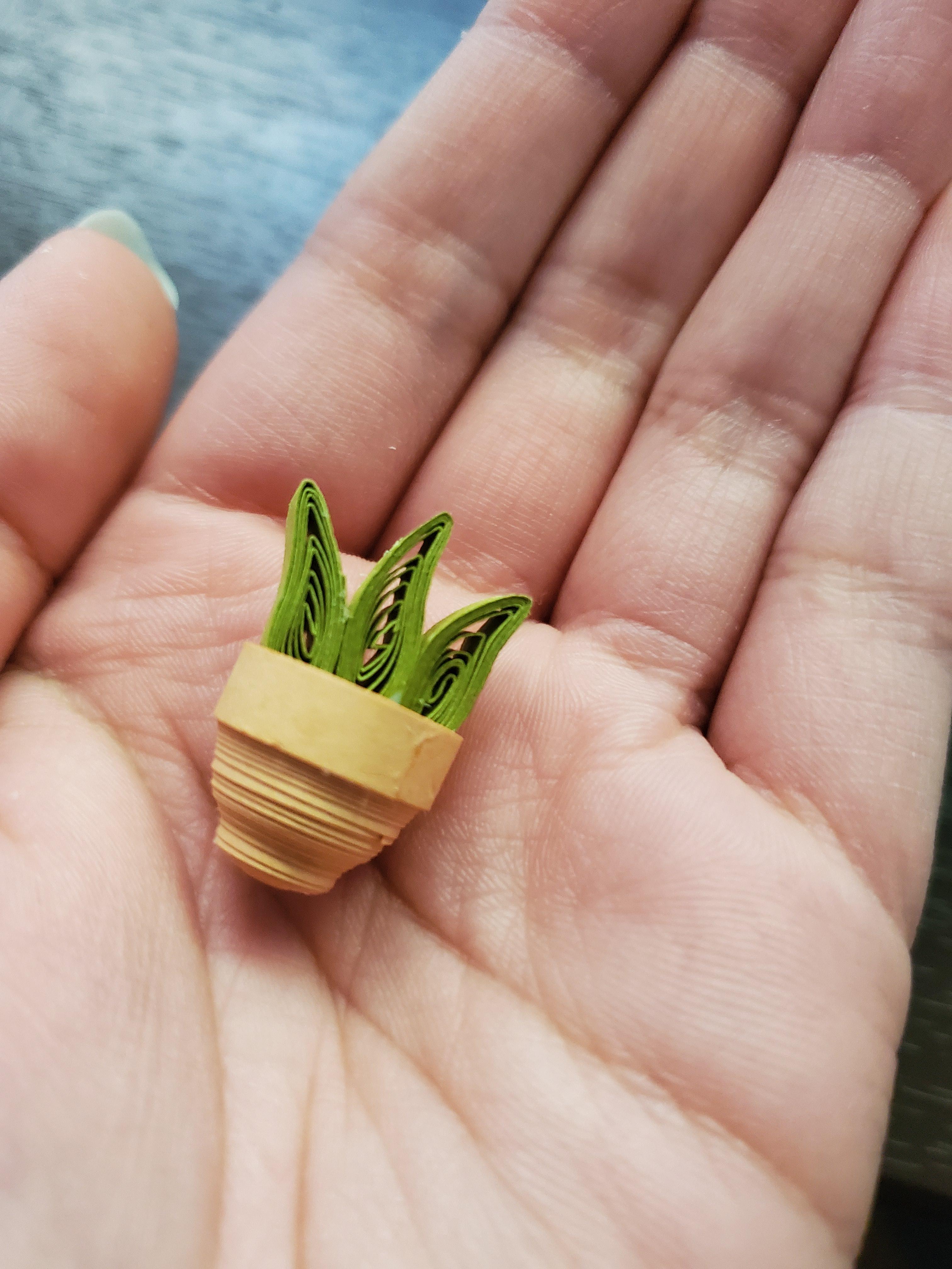I made a plant! | Scrolller