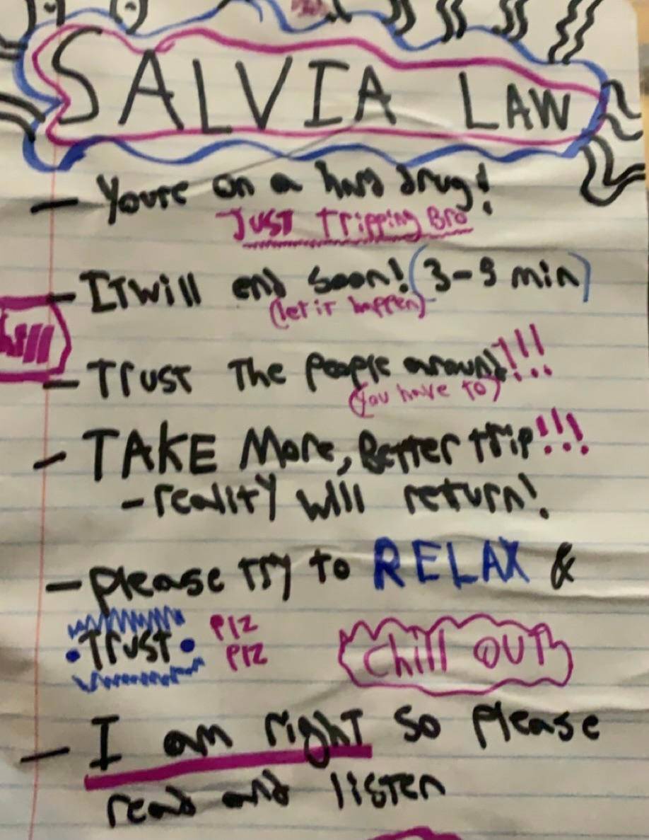 I made myself a salvia guide sheet to get me through those hard reality breaking times | Scrolller
