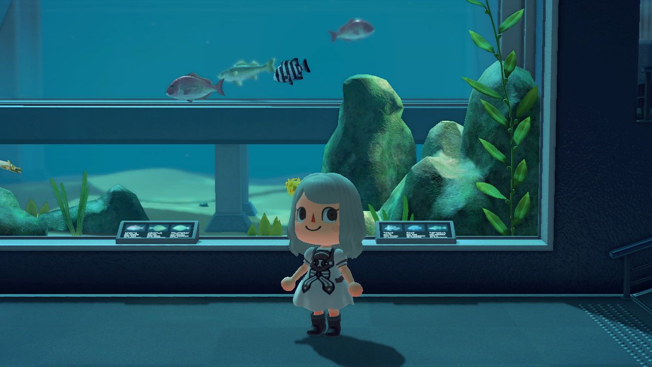 I made Yashiro's uniform dress on ACNH! Is it fish harem time..? | Scrolller