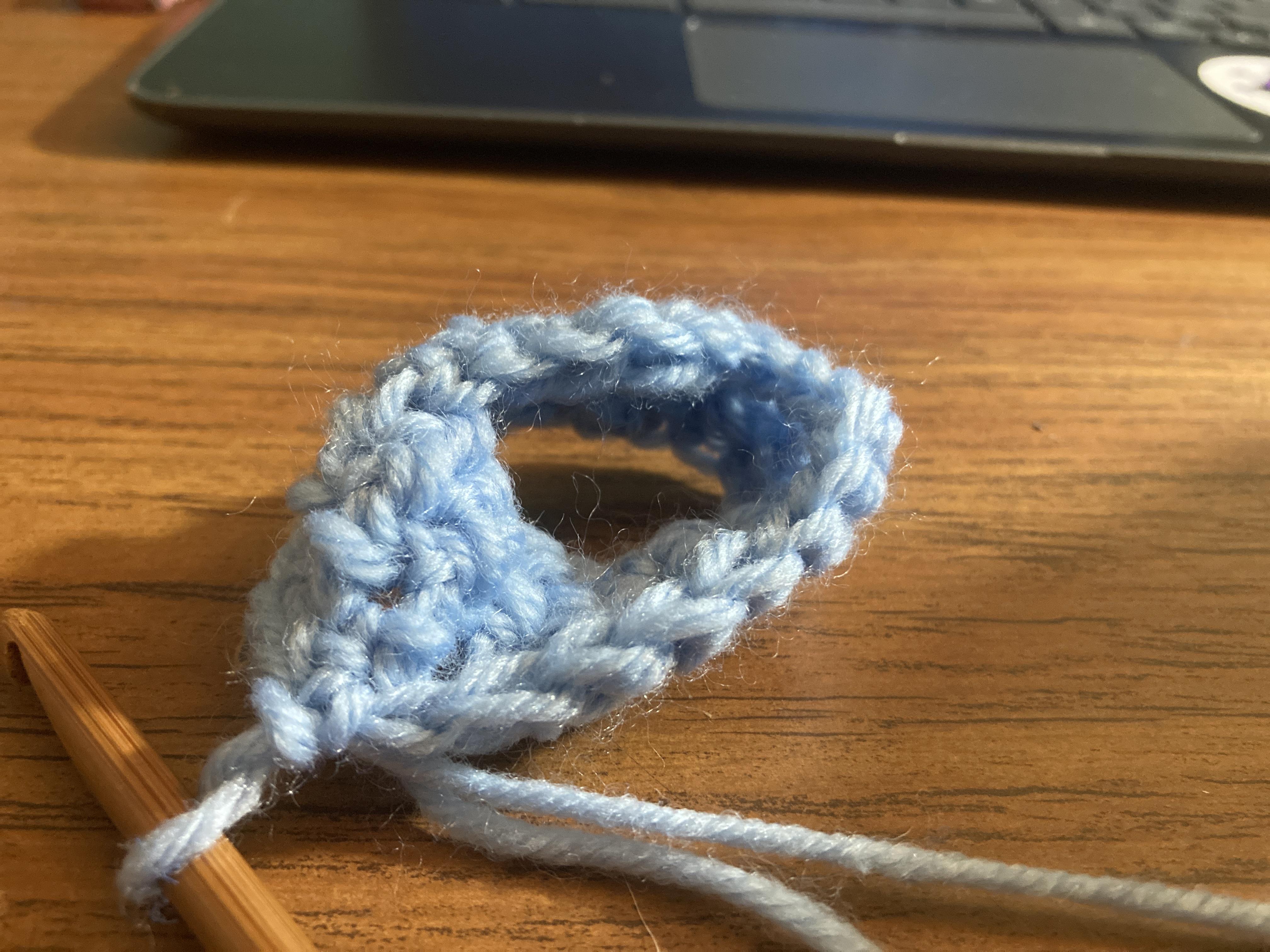 I might have crocheted a Mobius Strip… | Scrolller