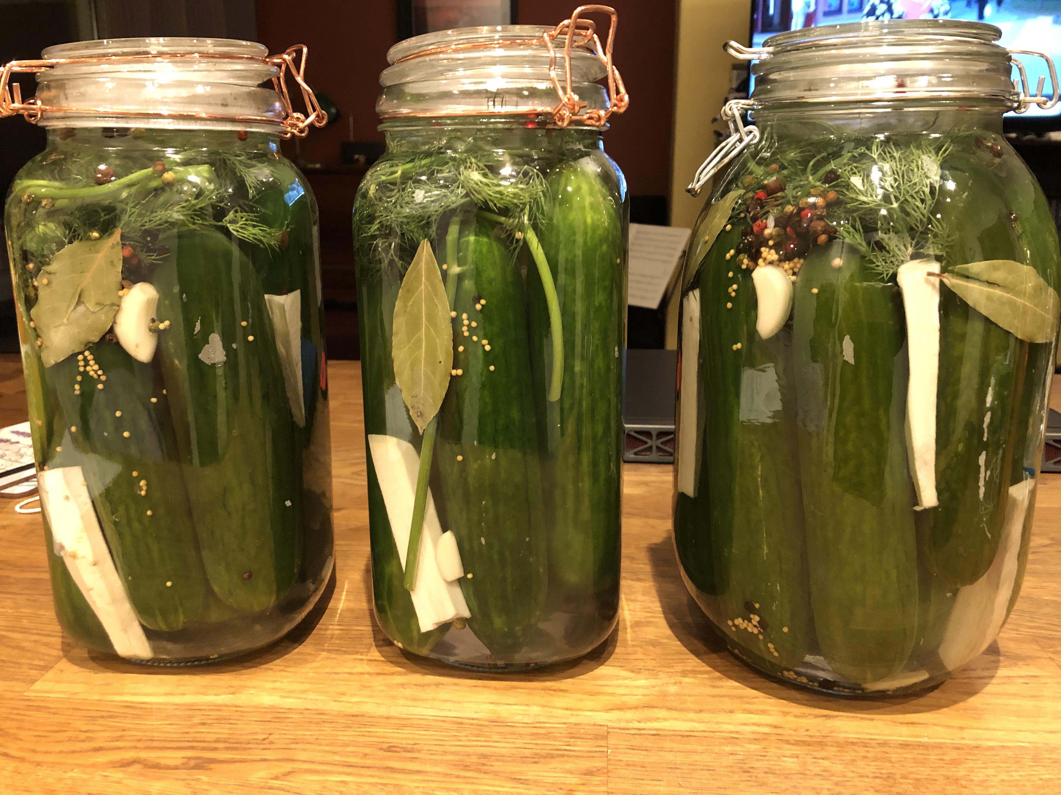 I pickled cucumbers for winter. This is day one. | Scrolller