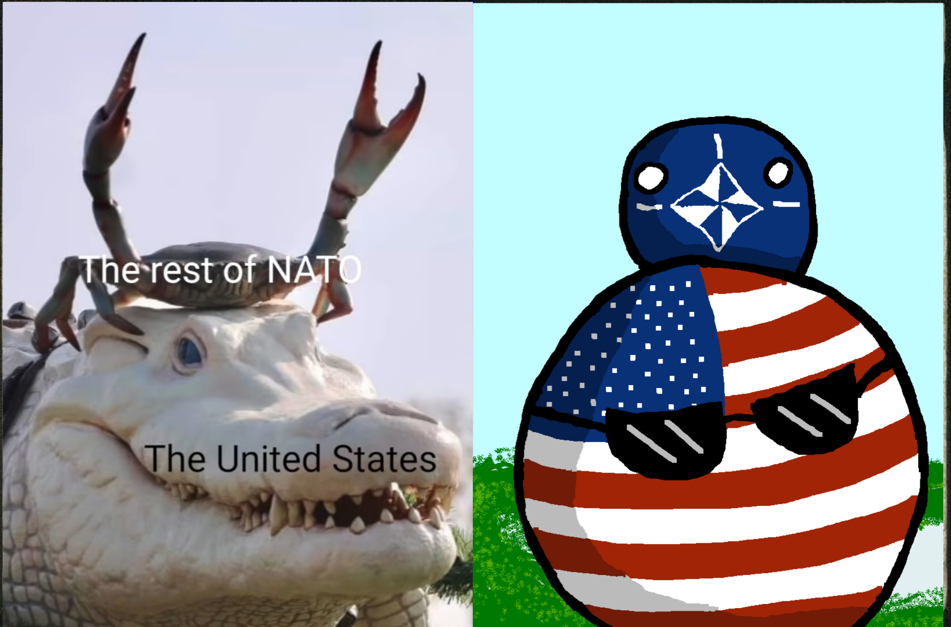 I remade the meme... | Scrolller