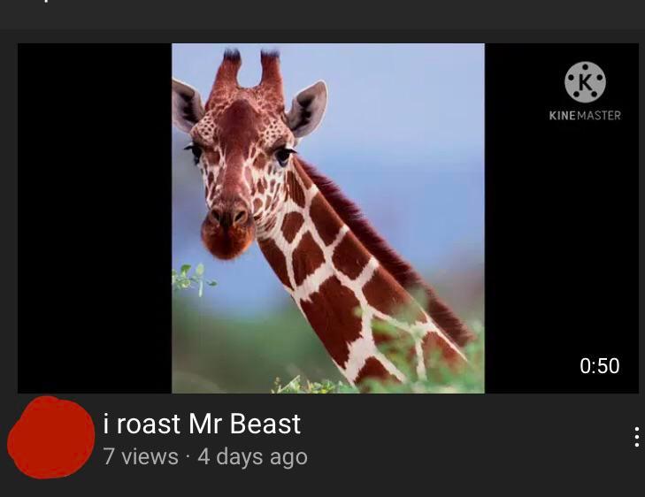 i roast Mr Beast | Scrolller