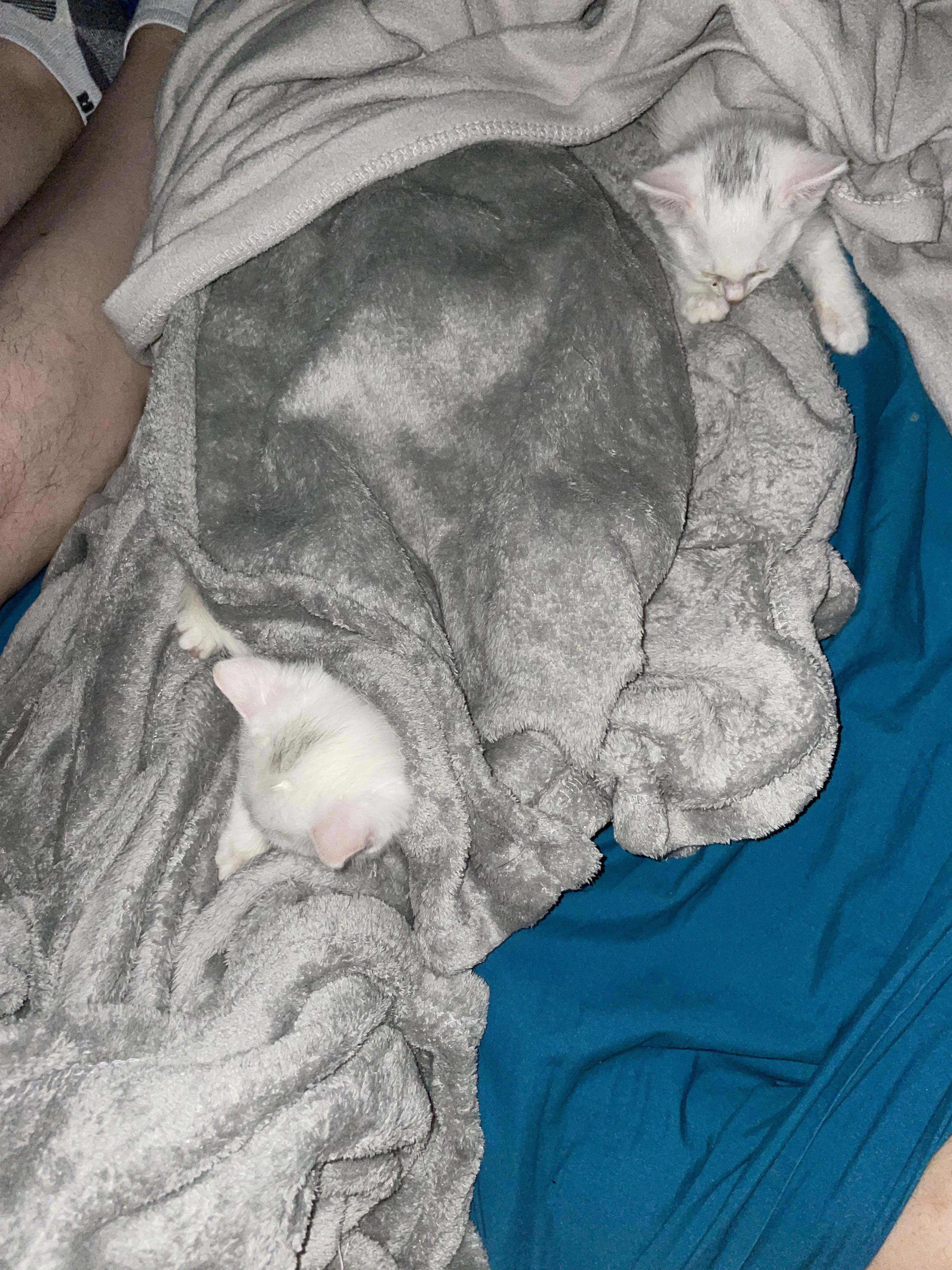 I spy with my little eye.. | Scrolller