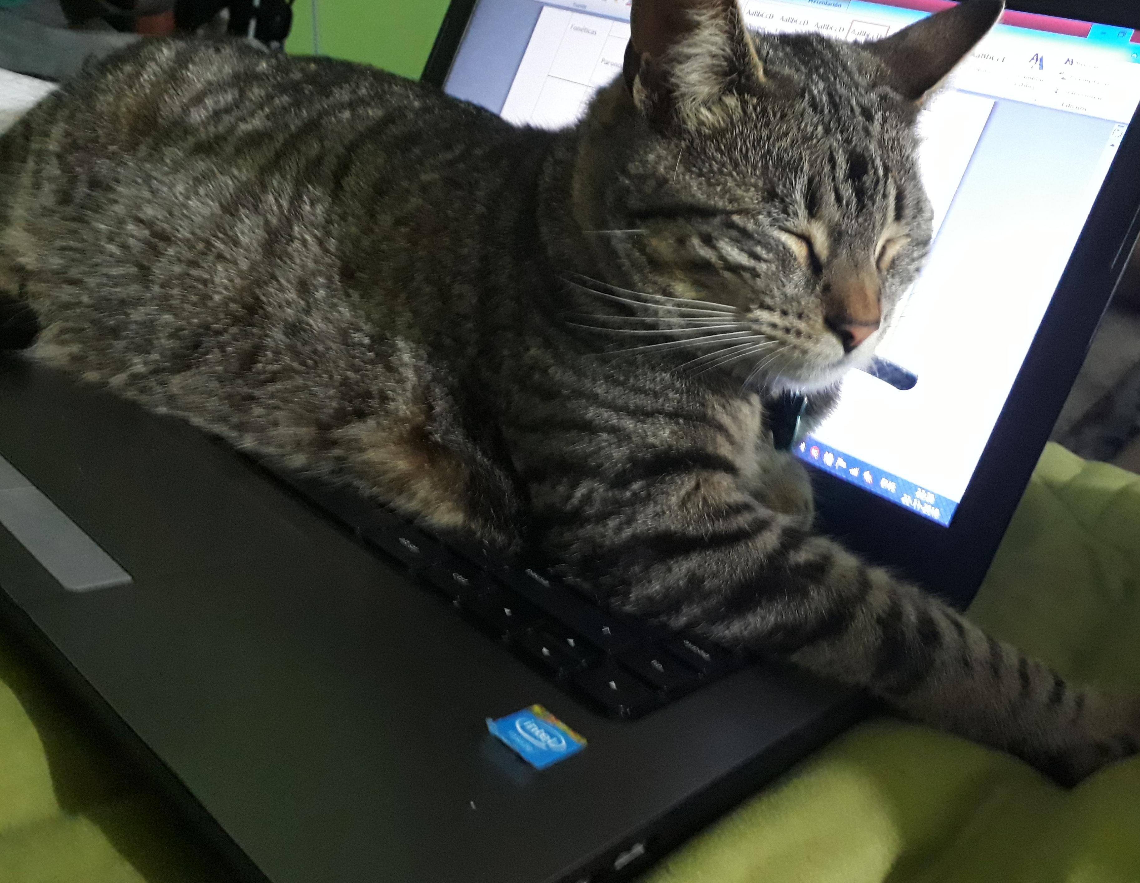 I surrender... | Scrolller