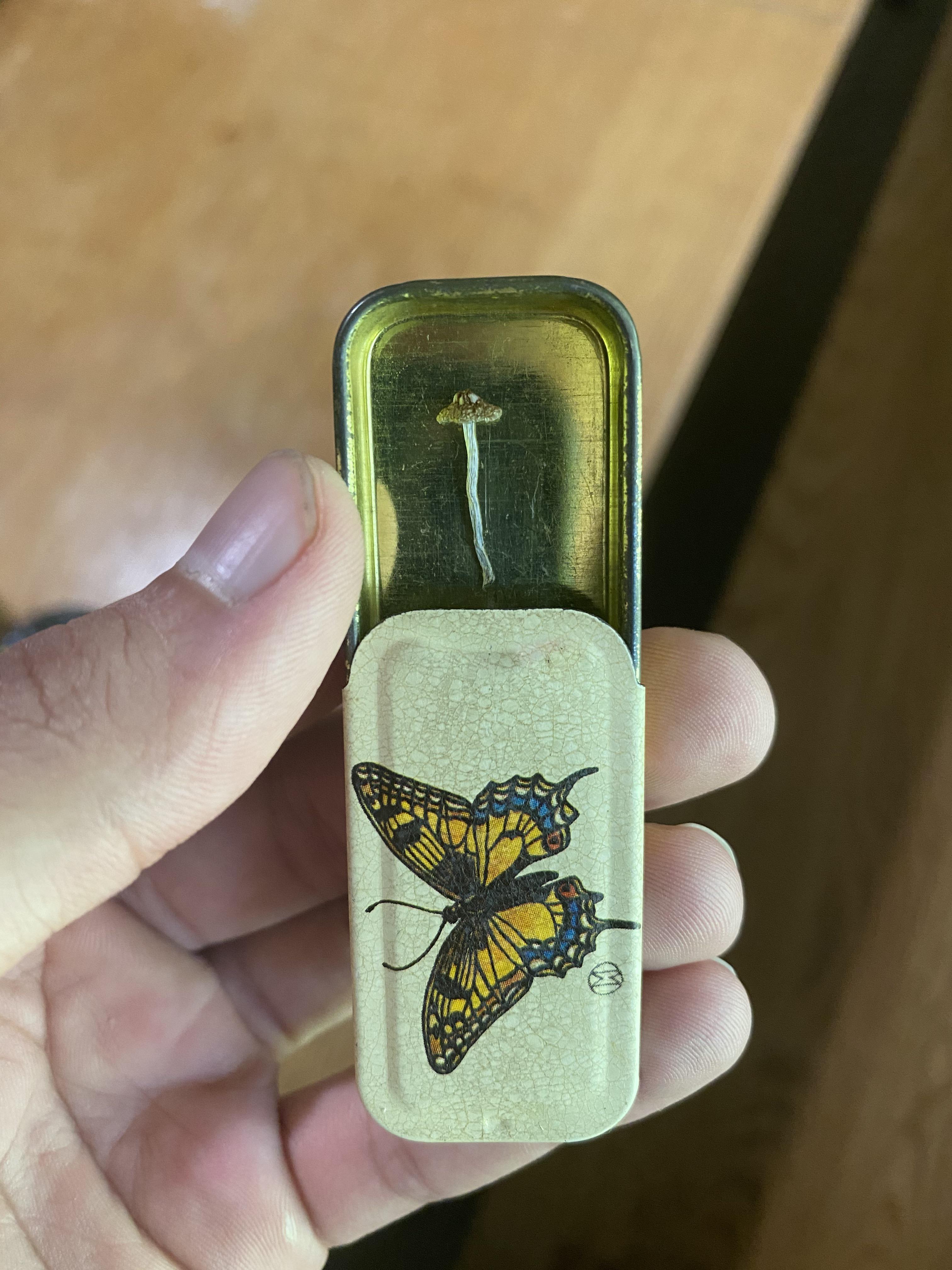 I think I grew the perfect micro dose! | Scrolller