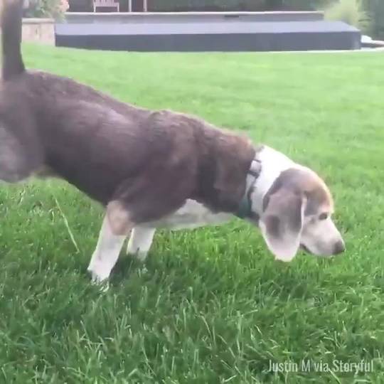 I think it provides thrust. | Scrolller